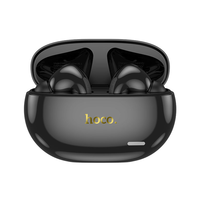 Hoco EW60 Plus ANC True Wireless Earbuds